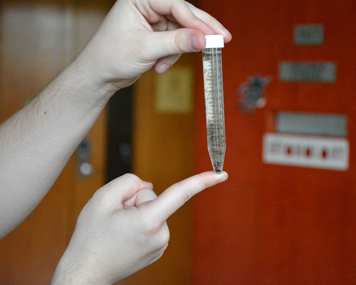 From field to lab, Transylvania students research land use impact on ...