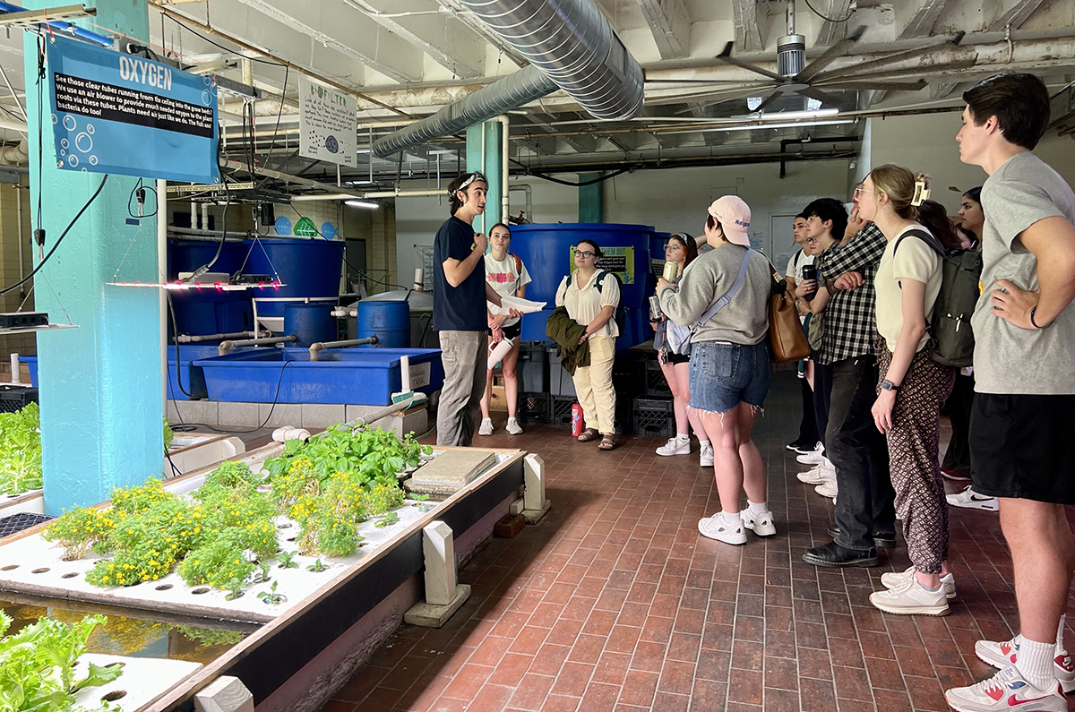 Transylvania May term class hones digital content skills through ...