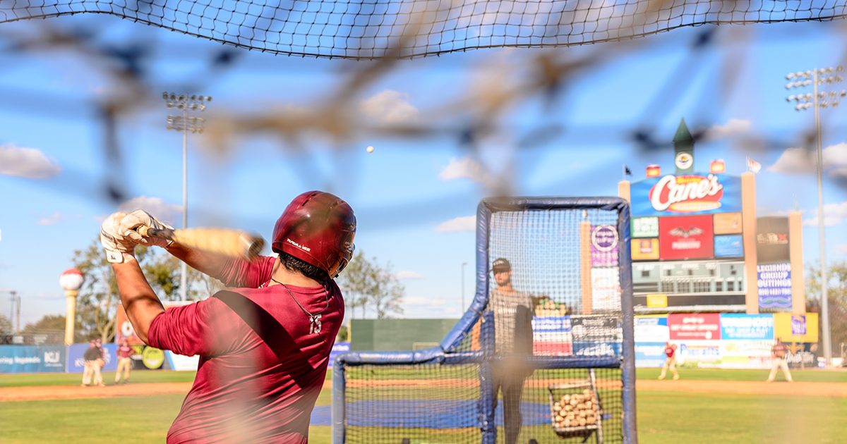 Transylvania baseball signs 20-year agreement to make professional ...